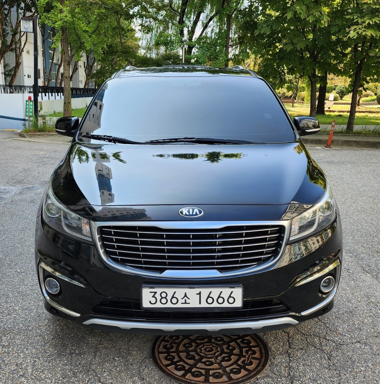 올 뉴 카니발 YP 9인승 (디젤 2.2) FWD 프레스티지 | 서초4동 | 당근 중고차