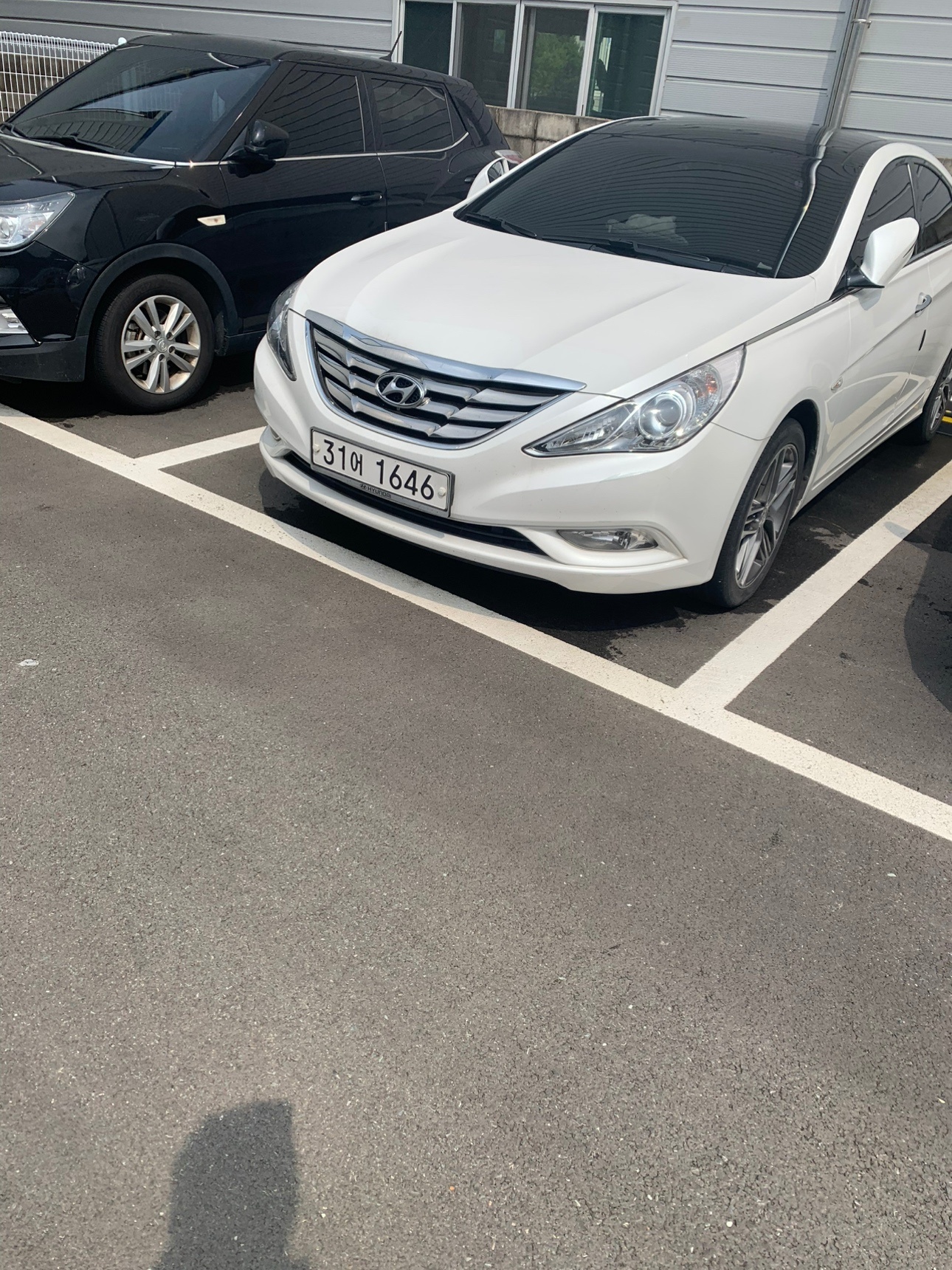 YF 쏘나타 YF LPi Y20 렌트 프리미어 | 내동 | 당근 중고차