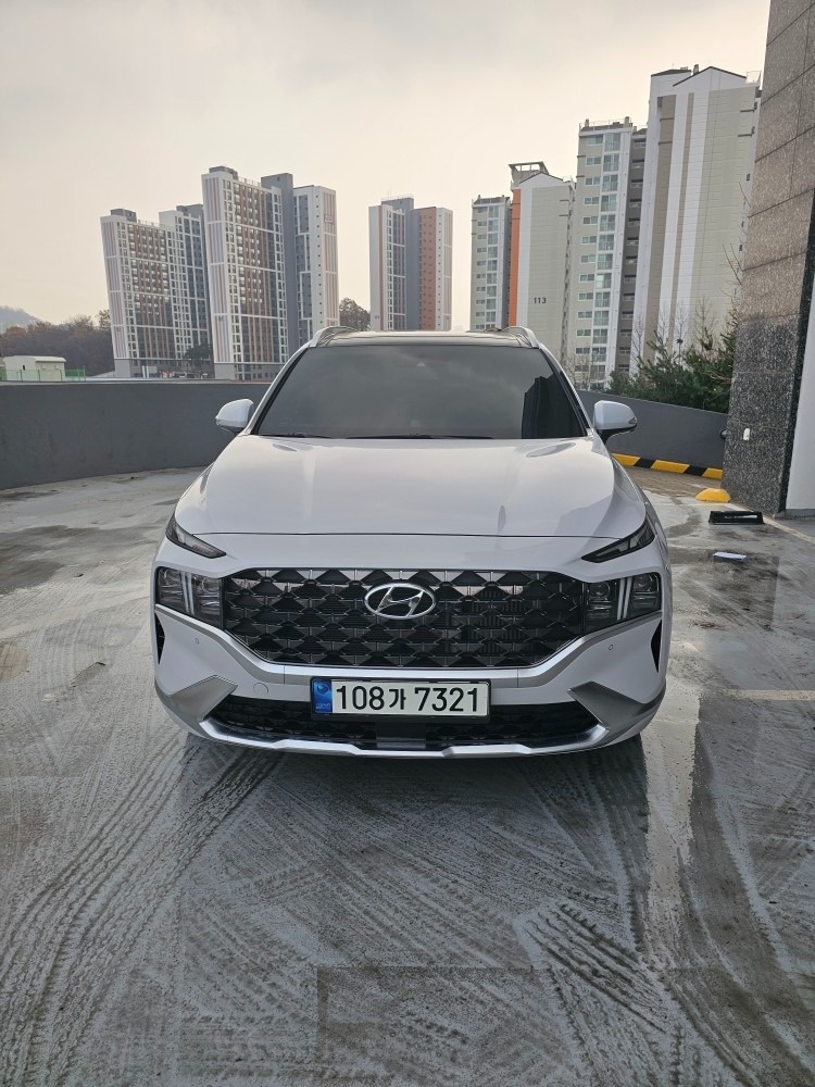 더 뉴 싼타페 TM 5인승(가솔린 2.5T) FWD 캘리그래피 | 괴안동 | 당근 중고차