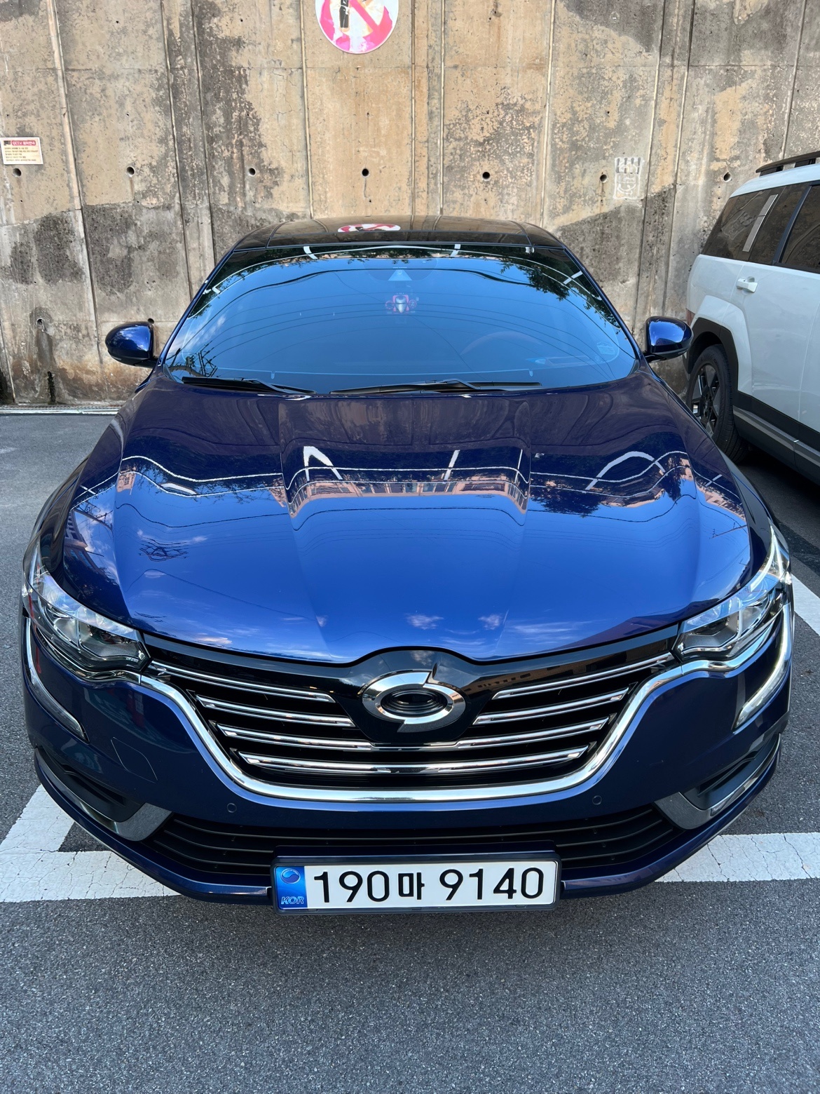 르노코리아 SM6 LFD 2.0 LPe 장애인(RE)