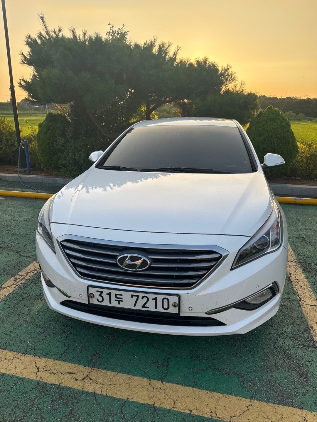 LF 쏘나타 LF LPi 2.0 장애인 FWD 스마트 | 공도읍 | 당근 중고차