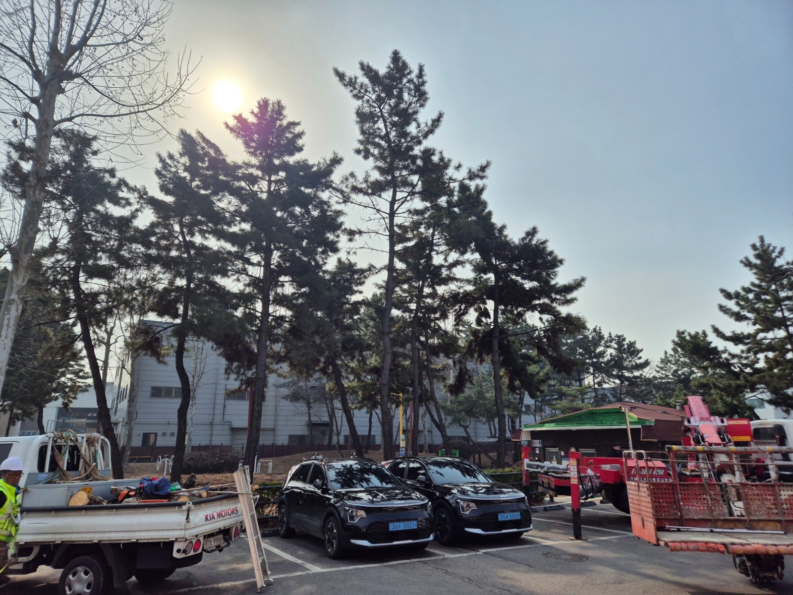 조경공 구합니다. | 성심조경 | 배방읍 | 당근 알바