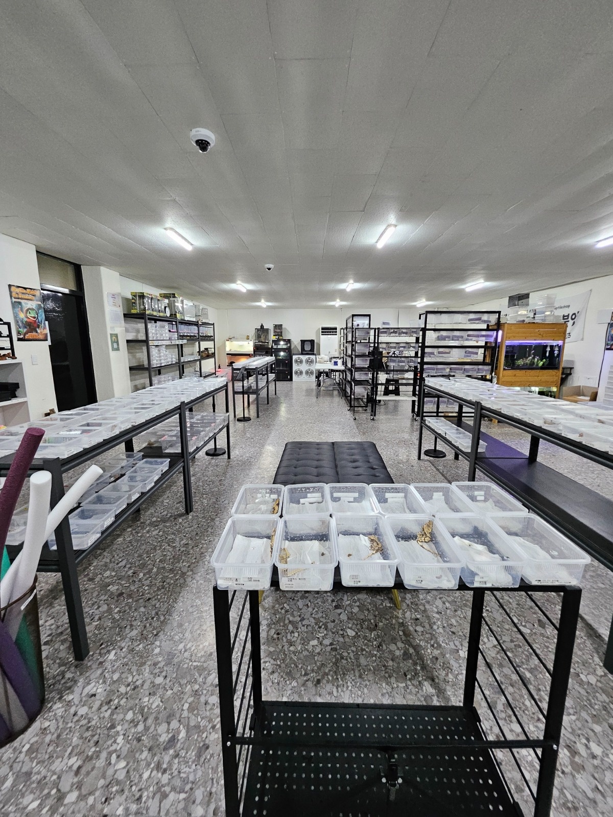 파충류샵 사육장청소 | 토리멀파크 | 퇴계동 | 당근 알바