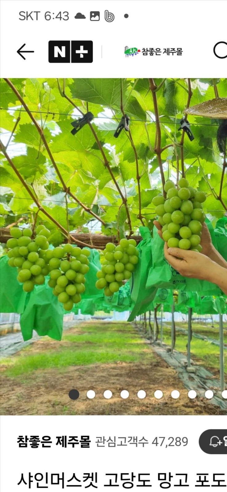 알솎이하실분 모집합니다 | 대항면 | 당근 알바