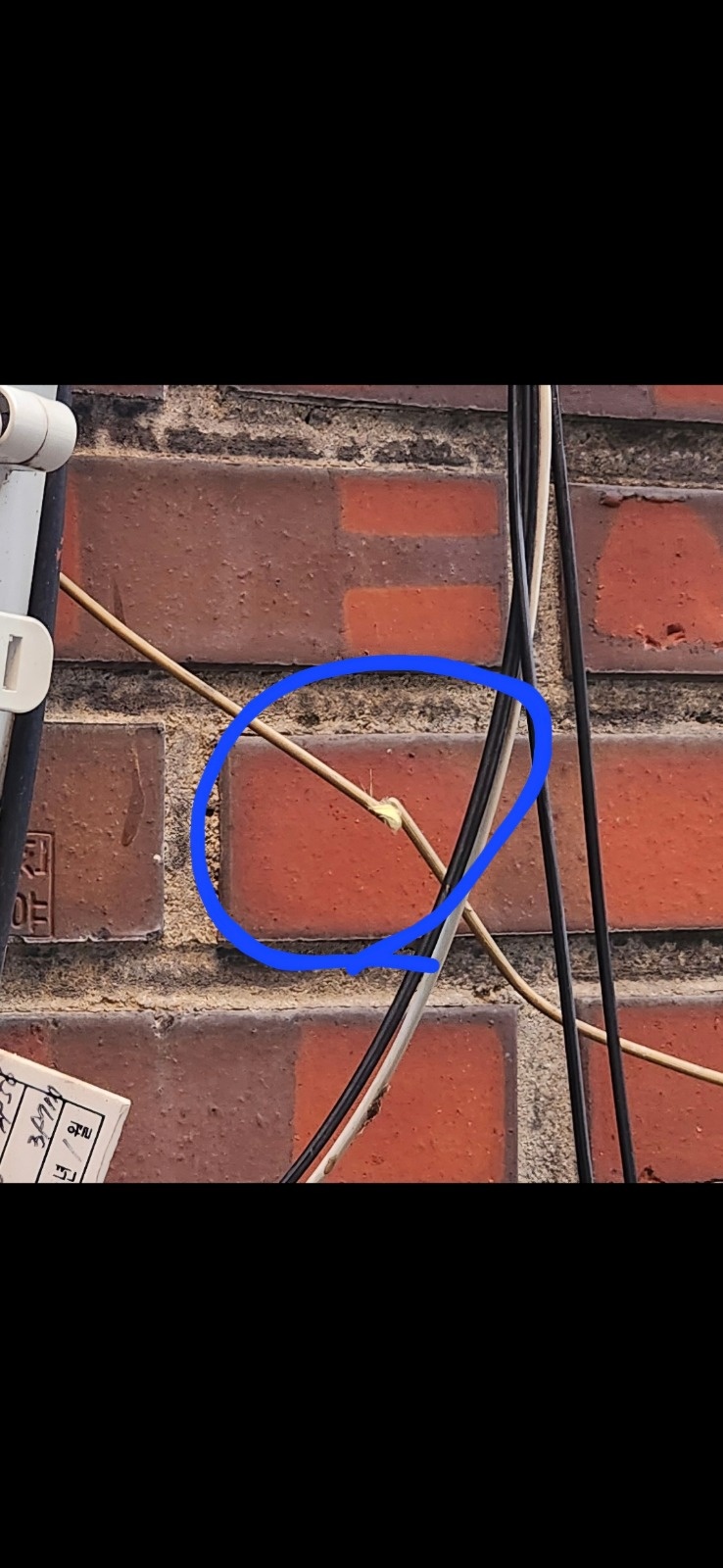KT광케이블 연결(단선복구) | 화곡동 | 당근 알바