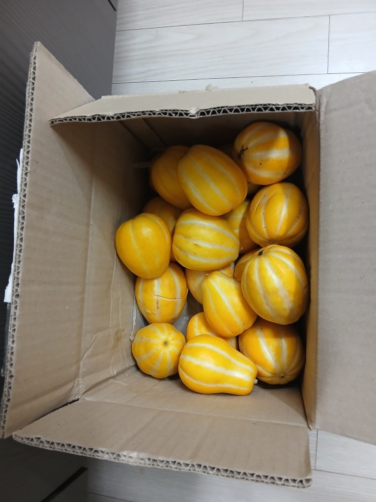 농가살리기 | 서울특별시 강서구 마곡동 | 농산물종합판매 | 당근 동네 업체