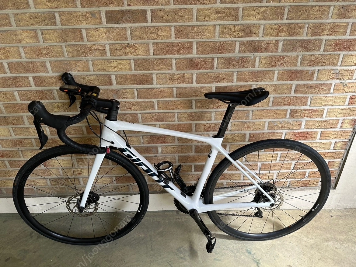 2021년 자이언트 tcr 어드... | 당근 중고거래