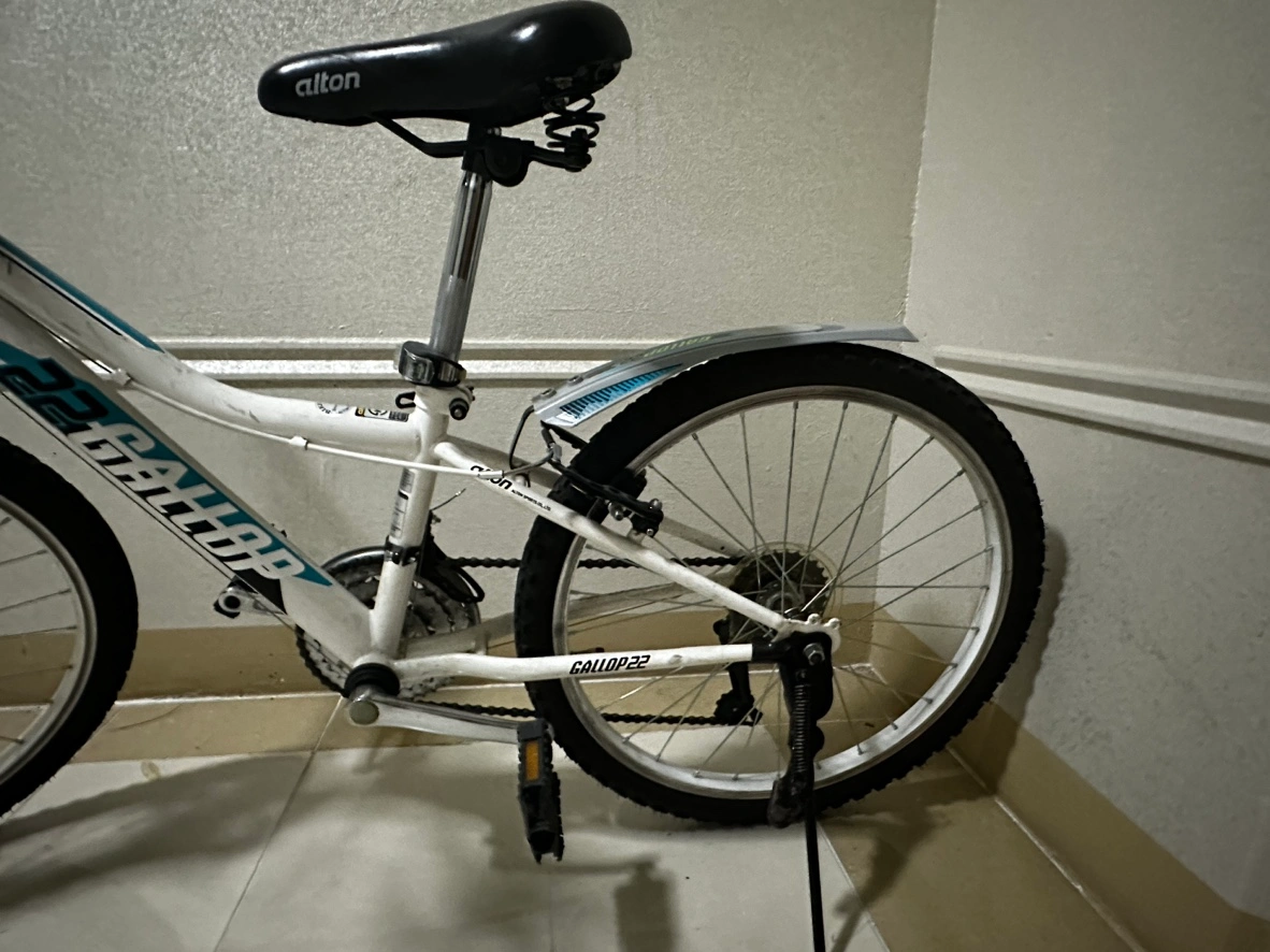 22인치 아동용 자전거 | 스포츠/레저 | 당근 중고거래