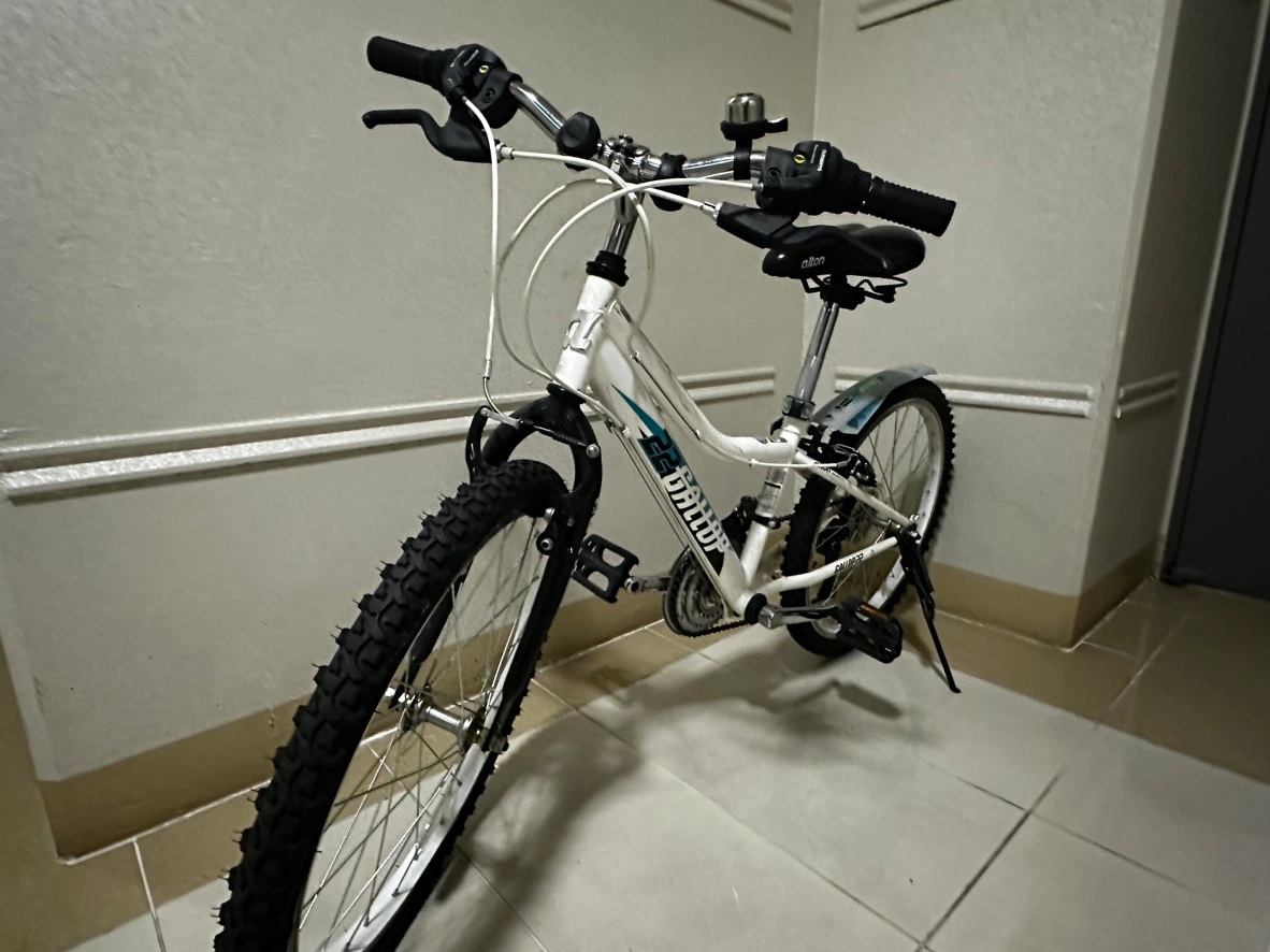 22인치 아동용 자전거 | 스포츠/레저 | 당근 중고거래