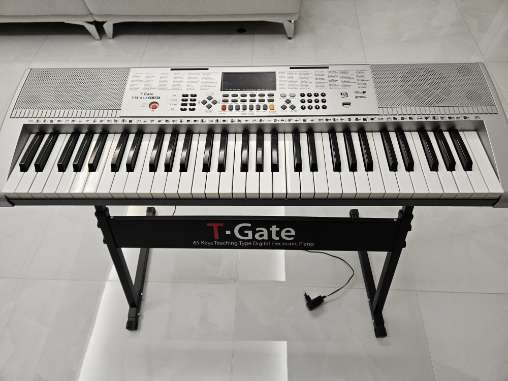 토이게이트(T-GATE) 피아노 | 디지털기기 | 당근 중고거래