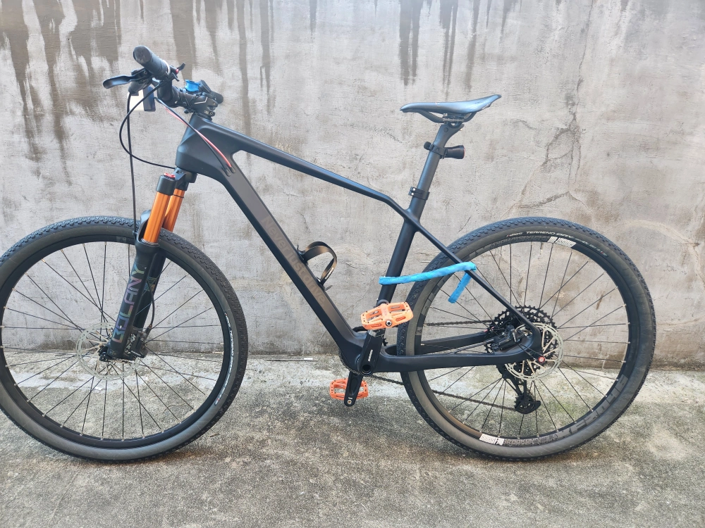 알리산 카본 MTB 자전거 팝니다 | 당근 중고거래