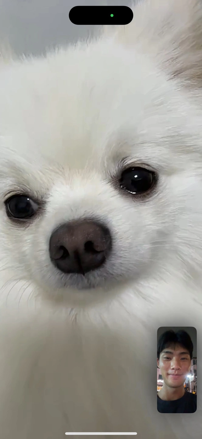 룩스패드 43H 2개 팔아용 | 교동 | 디지털기기 | 당근 중고거래