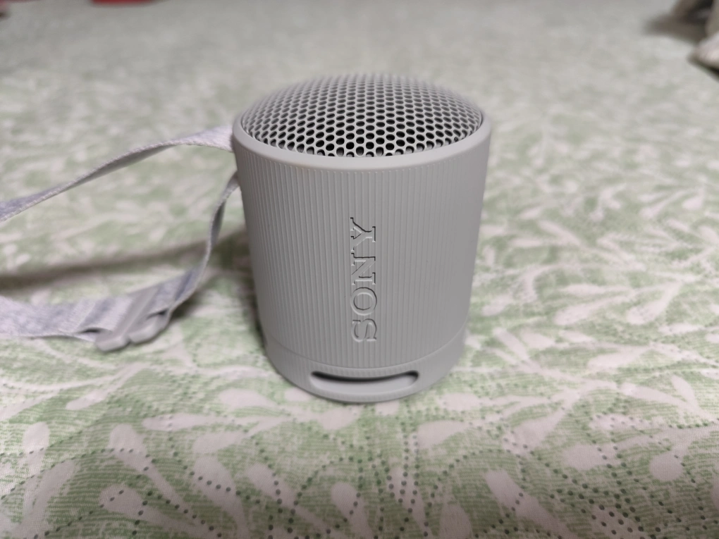 소니 (SONY) SRS-XB100 | 다사읍 | 디지털기기 | 당근 중고거래