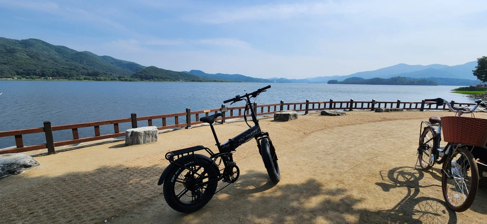 전기자전거 접이식 볼트몬스터 VT700 FB20 판매합니다 | 신장2동 | 스포츠/레저 | 당근 중고거래