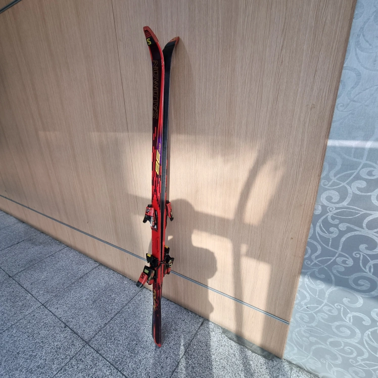 스키플레이트 | 스포츠/레저 | 당근 중고거래