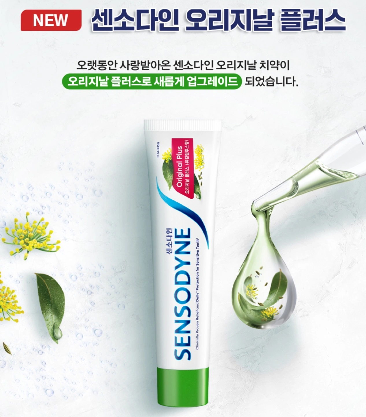 [센소다인] 오리지날 플러스/후레쉬 민트 치약 100g x 6ea | 온수동 | 생활/주방 | 당근 중고거래