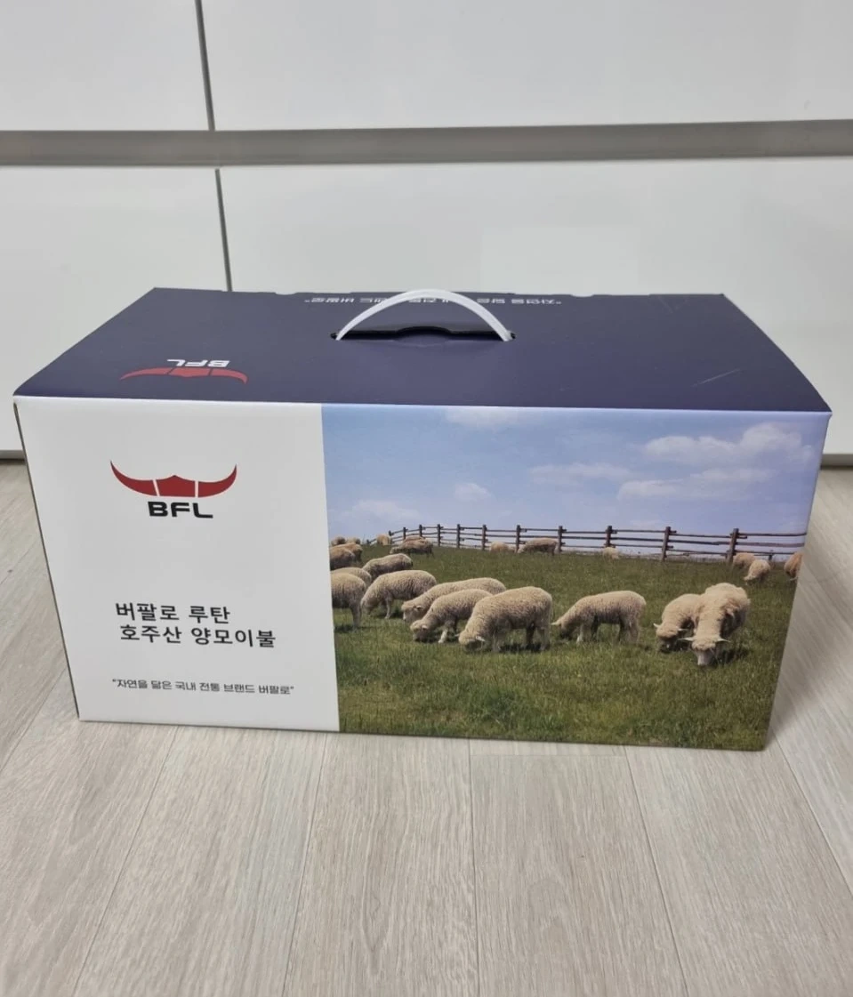 이번에 이사올때 침대 바꾸면서 선물받은 더블사이즈 양모 이불 저렴하게 팔아봅니다 서초3동 기타 중고물품 당근 중고거래