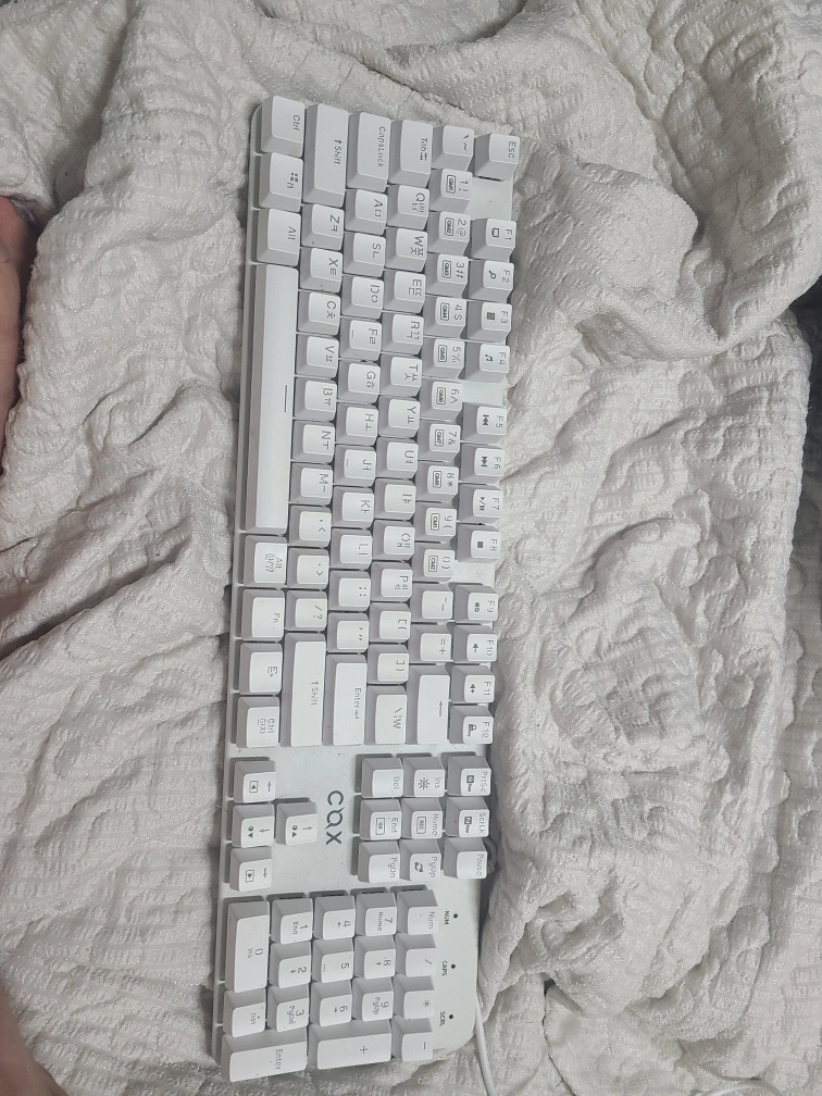 cox ck420 게이밍 갈축 키보드 팝니다 | 하단동 | 디지털기기 | 당근 중고거래