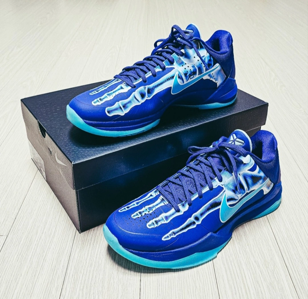 275(270)mm 나이키 코비5 프로트로 딥 로얄 블루 | 여의도동 | 스포츠/레저 | 당근 중고거래