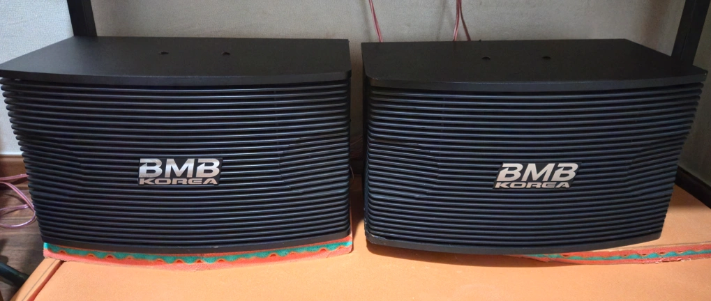 BMB 10인치 노래방 스피커 | 장흥읍 | 기타 중고물품 | 당근 중고거래
