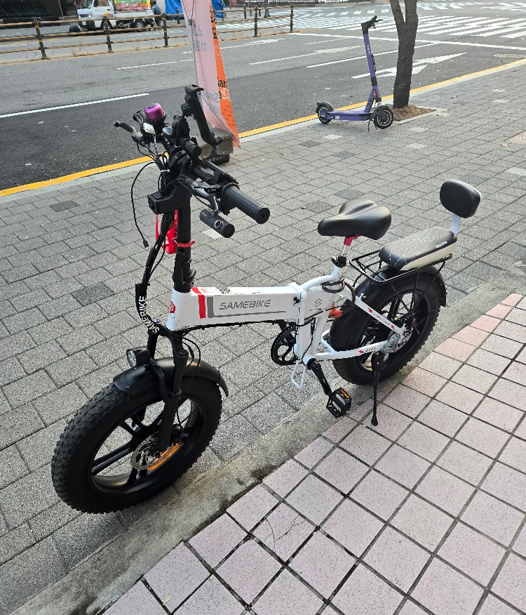 전기자전거 펫바이크 새밧데리로 교체완료 | 감이동 | 스포츠/레저 | 당근 중고거래