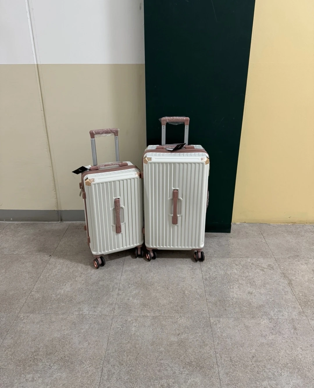어딜 못다녀서 아깝긴한데 캐리어 당근에 정리해봅니다 싸게 당근할게요 남문로2가 스포츠레저 당근 중고거래