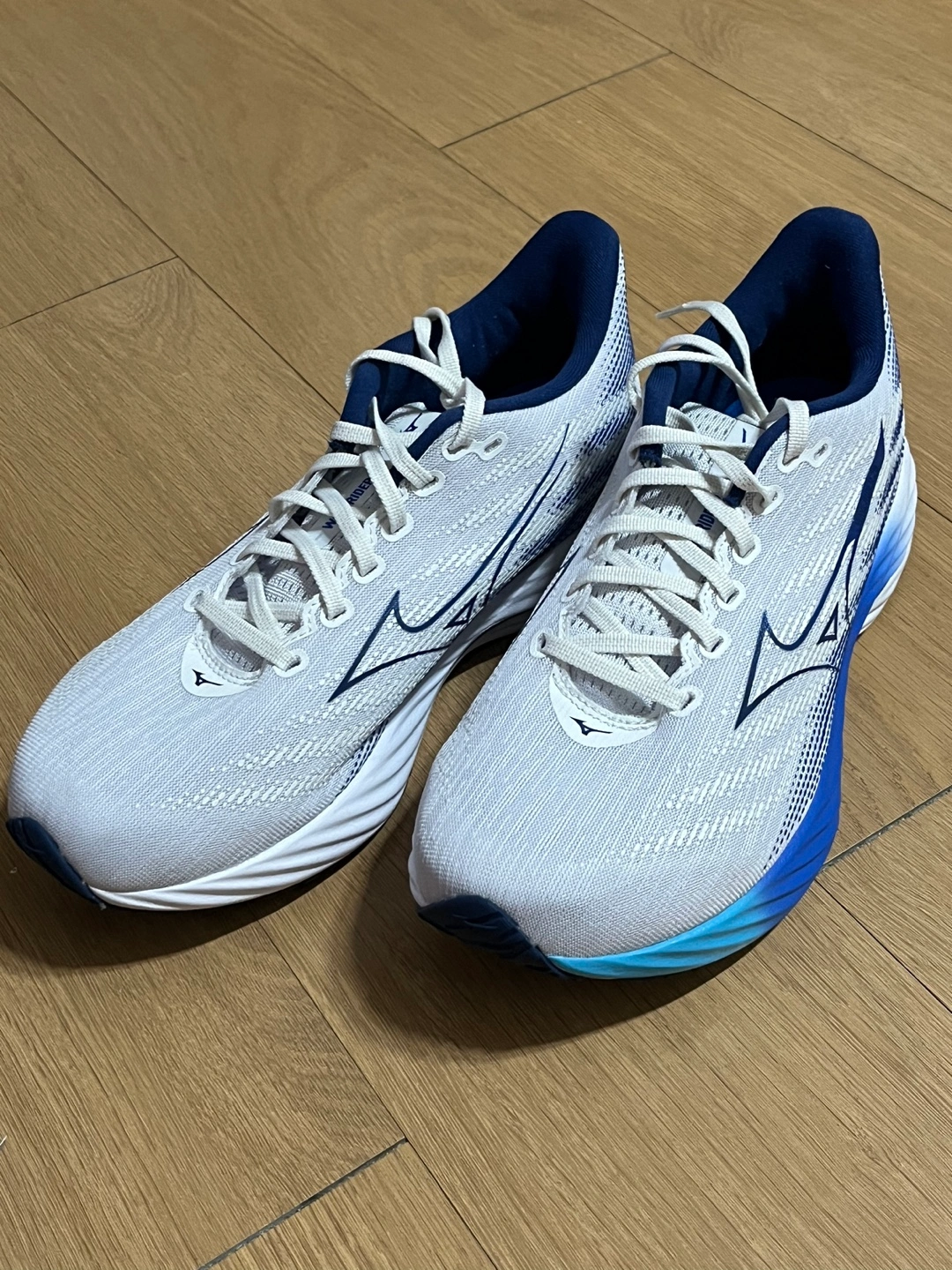 미즈노 웨이브라이더 28 265 새상품급 | 매산로2가 | 스포츠/레저 | 당근 중고거래