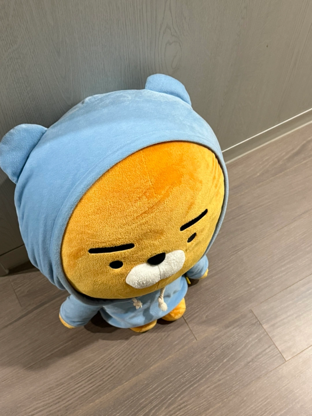 (대형) 카카오 후드 라이언 인형 | 도마동 | 유아동 | 당근 중고거래