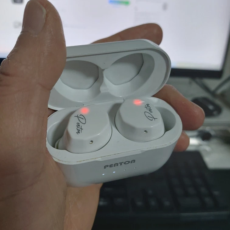 피에스이 벤처스 PENTON TSX 다이아팟 W | 배방읍 | 디지털기기 | 당근 중고거래