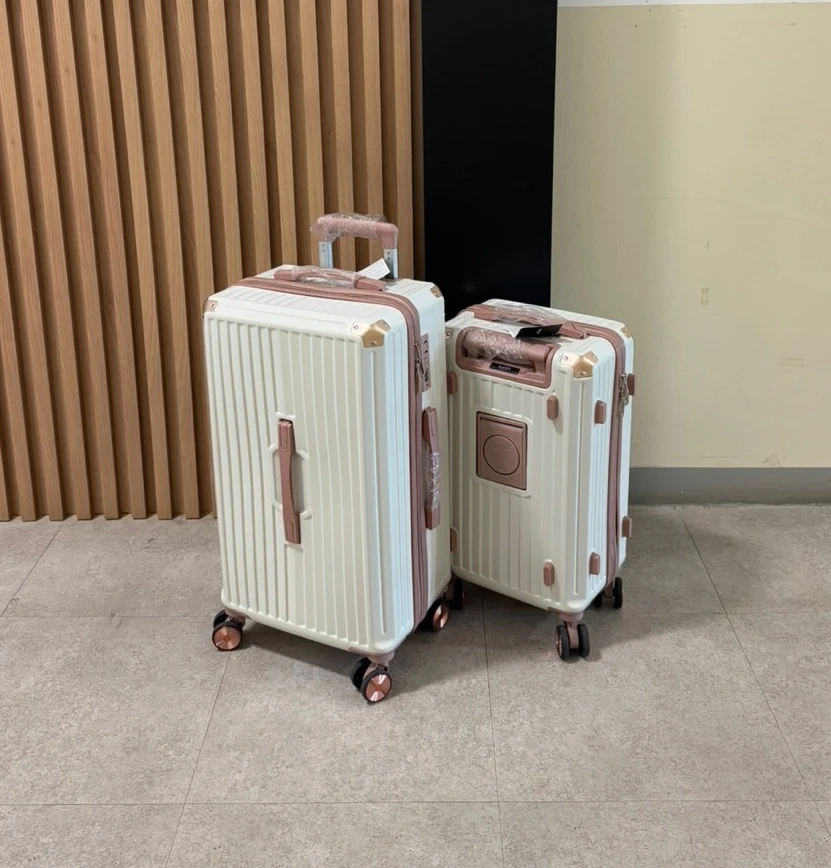 캐리어 정리해보려고합니다 앞으론 어딜 안가 저렴히 팔아요 신창동 스포츠레저 당근 중고거래