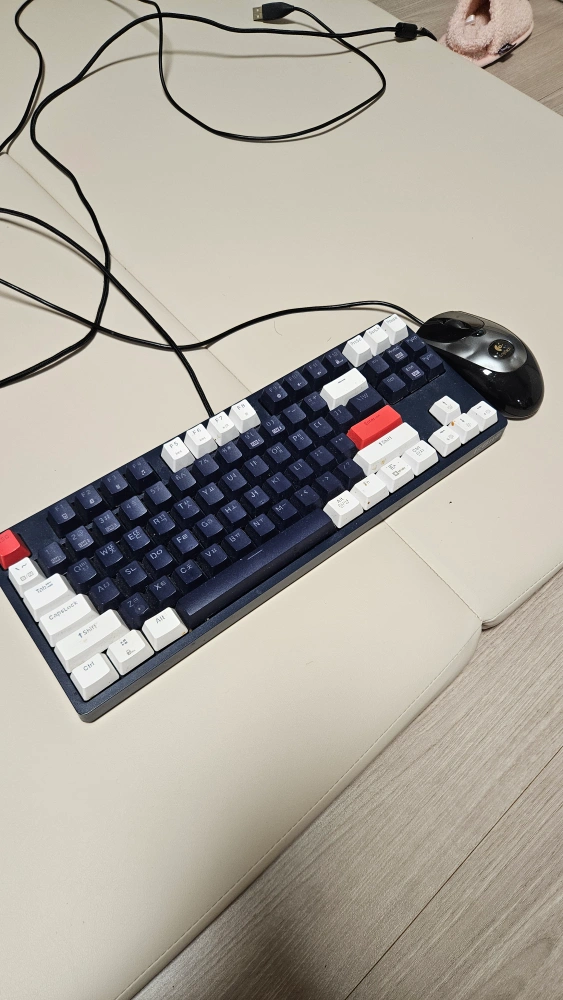 기계식 게이밍 키보드 마우스 세트 | 다산동 | 디지털기기 | 당근 중고거래