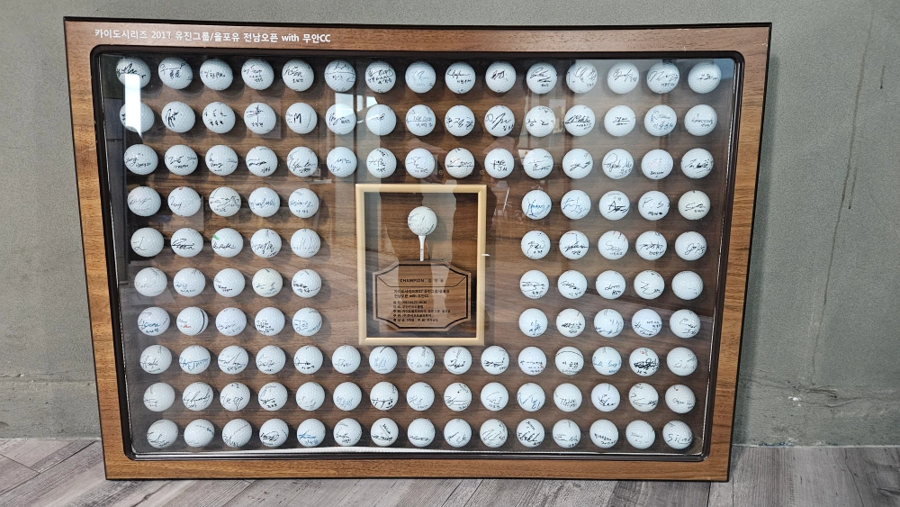 kpga 2017년 골프대회 선수 싸인 골프공 액자 | 서초동 | 스포츠/레저 | 당근 중고거래