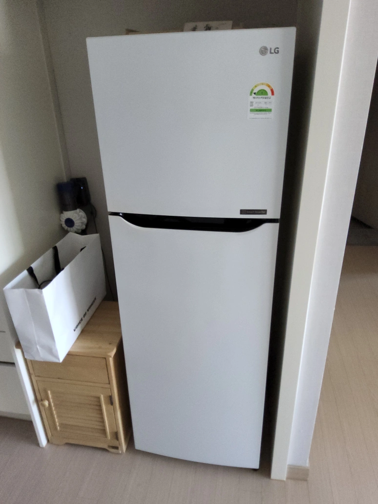 LG전자 싱싱 냉장고 254L [R-B261GBW] | 소담동 | 생활가전 | 당근 중고거래