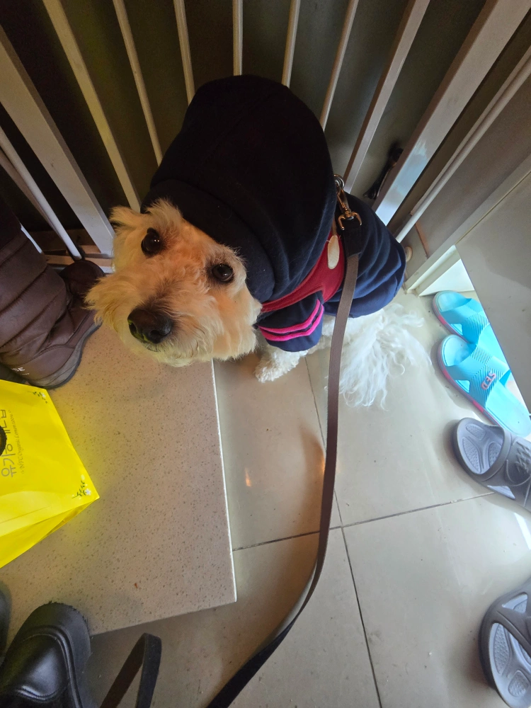 신세계.홈플러스 롯데 국민관광등 상품권 사오 | 당산동6가 | 삽니다 | 당근 중고거래