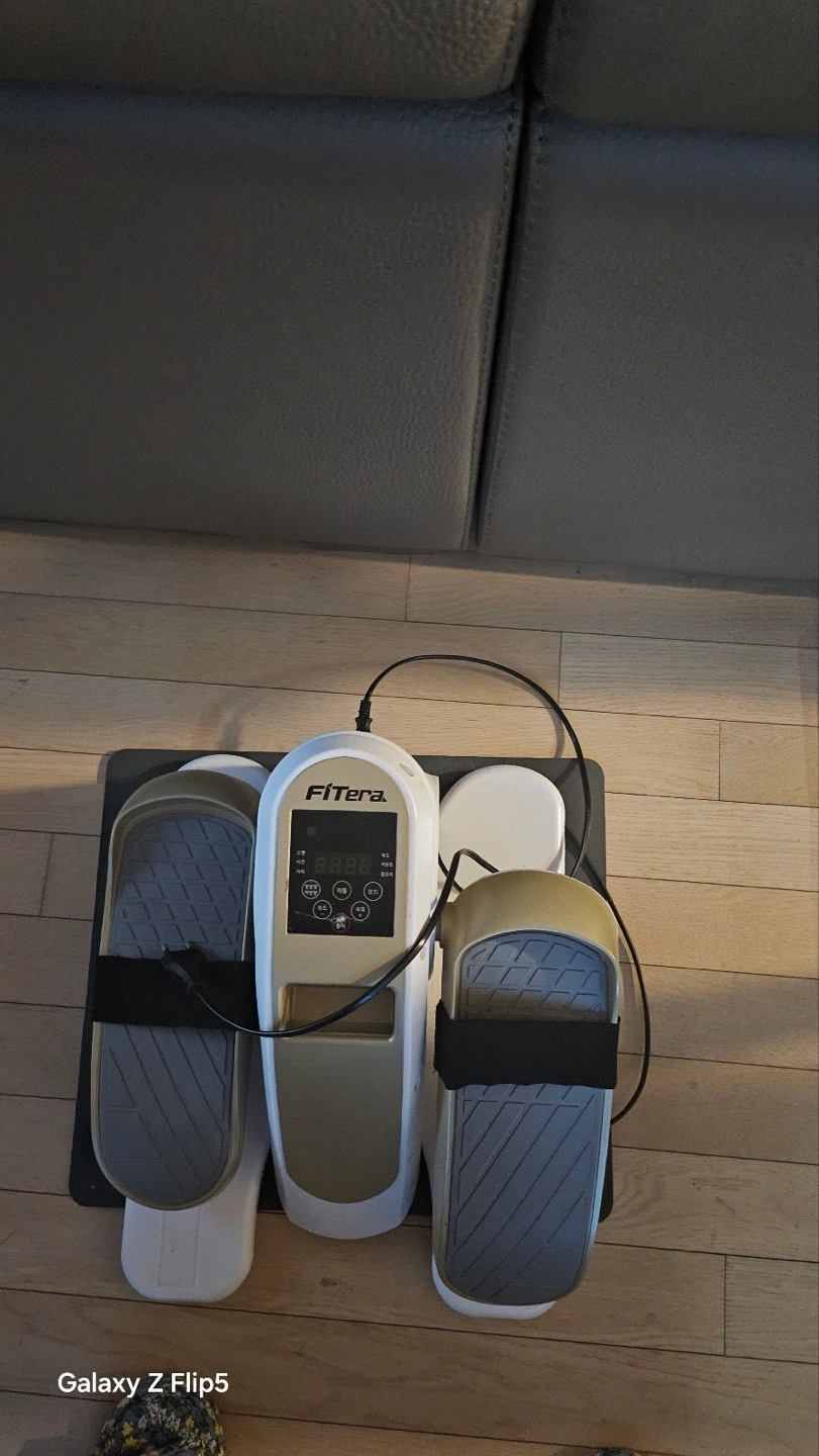 fitera 오토고 자동 스탭퍼 실내 운동기기 | 스포츠/레저 | 당근 중고거래