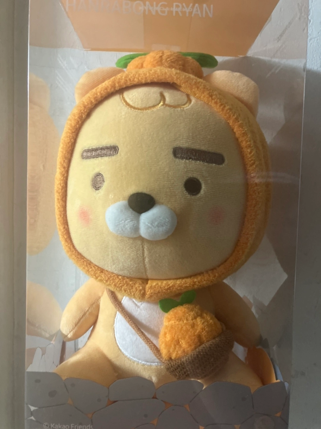 제주 카카오프렌즈 라이언 인형 | 인계동 | 여성잡화 | 당근 중고거래