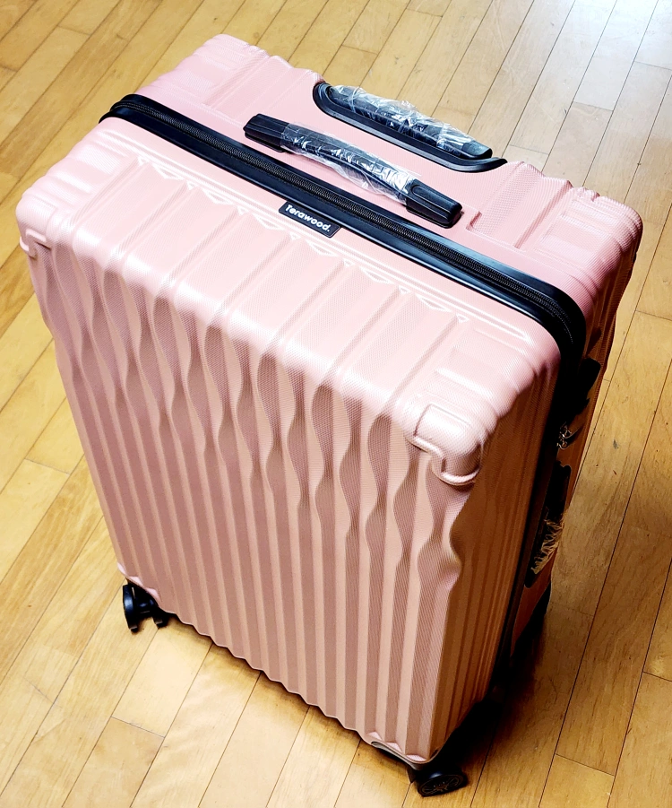 테라우드 하드 캐리어 28인치 새상품, 대형싸이즈, 무소음 설계 | 상암동 | 스포츠/레저 | 당근 중고거래