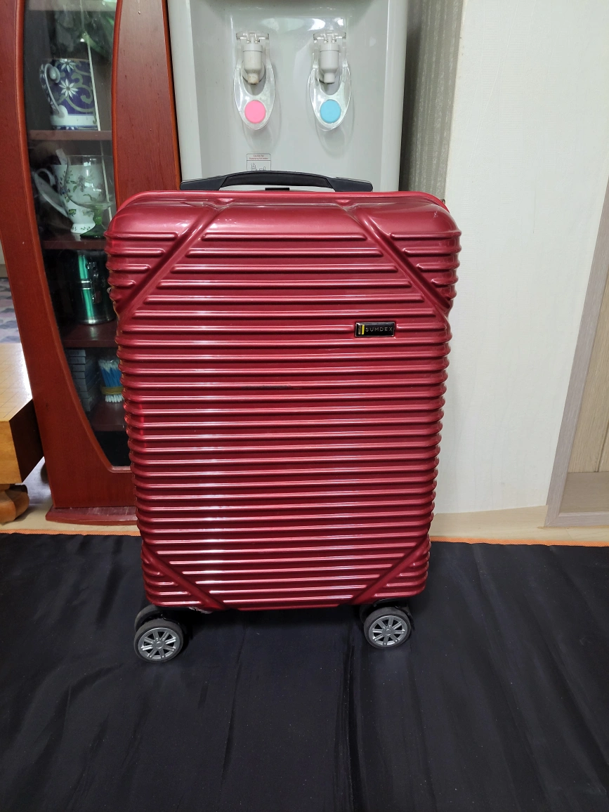 SUMDEX 캐리어 레드 | 일동면 | 스포츠/레저 | 당근 중고거래