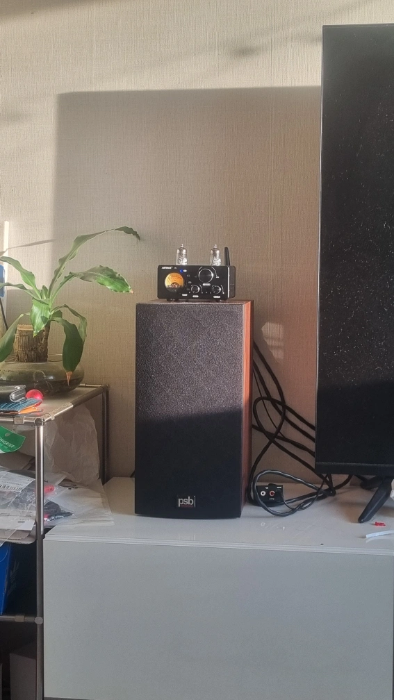 패시브 스피커세트 psb 1b 및 aiyima 앰프 바나나 케이블 포함 | 이촌제2동 | 디지털기기 | 당근 중고거래