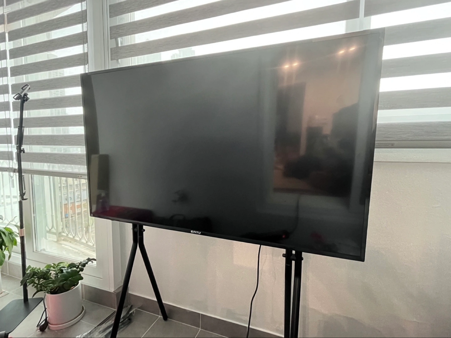 entv 55인치 구글스마트 TV(스탠드포함) | 전농제2동 | 생활가전 | 당근 중고거래