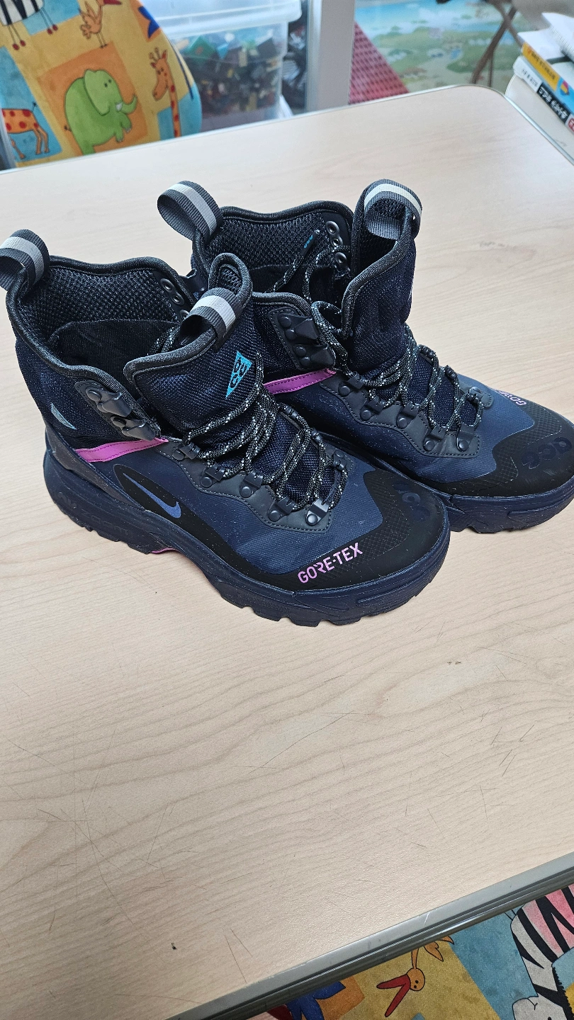 나이키 ACG 에어 줌 가이아 돔 고어텍스 등산화(255 | 스포츠/레저 | 당근 중고거래