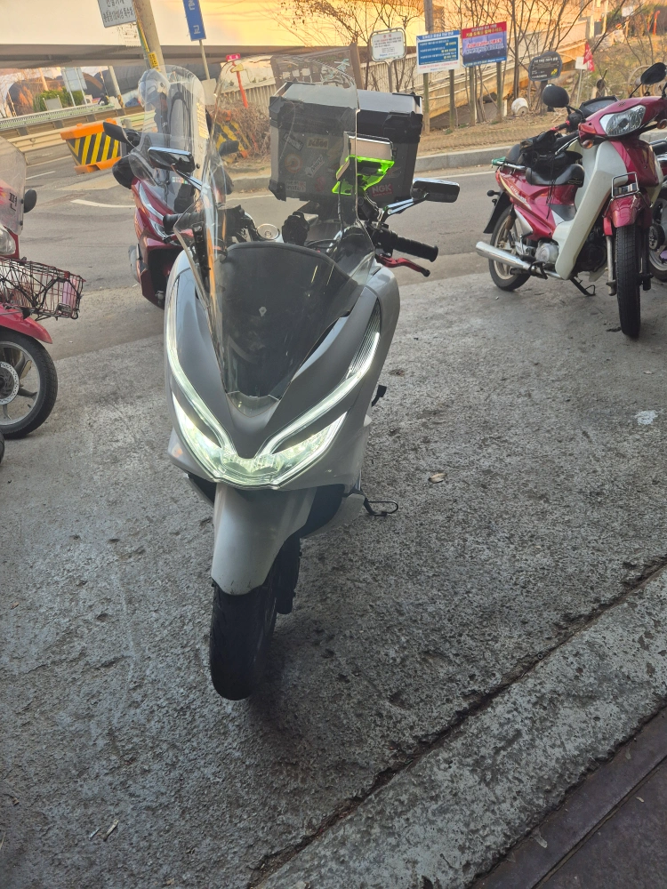 pcx 19년식 팔아요 | 장현동 | 기타 중고물품 | 당근 중고거래
