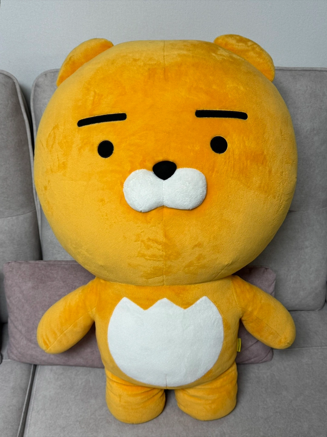 카카오프렌즈 라이언 인형 5만 귀여워요 | 가경동 | 유아동 | 당근 중고거래