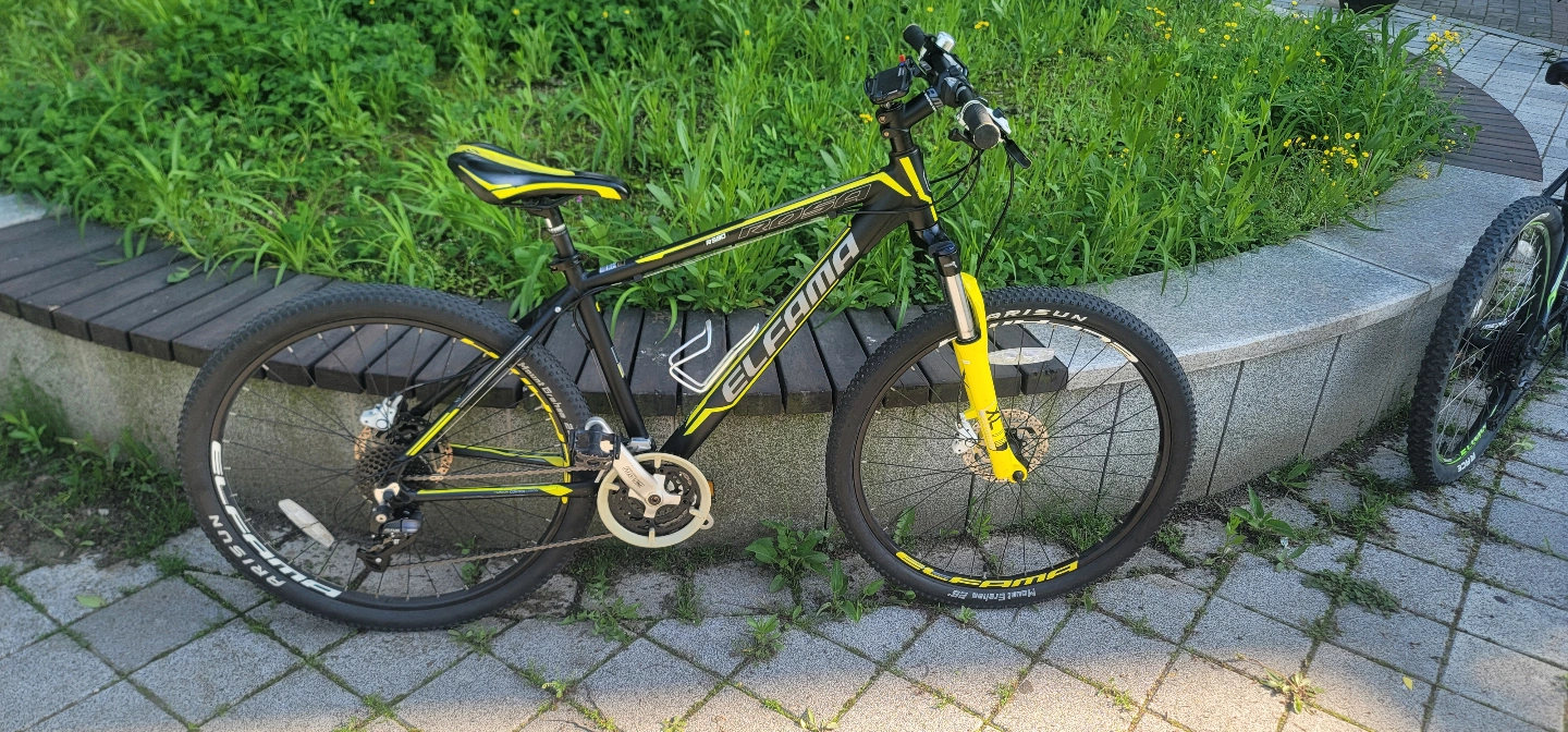 엘파마 로사 R590 자전거 팝니다 | 스포츠/레저 | 당근 중고거래