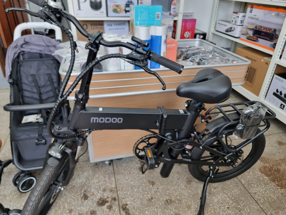 Modoo 전기 자전거 | 스포츠/레저 | 당근 중고거래