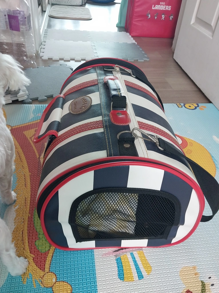 PASLY 강아지 이동 가방 | 반려동물용품 | 당근 중고거래