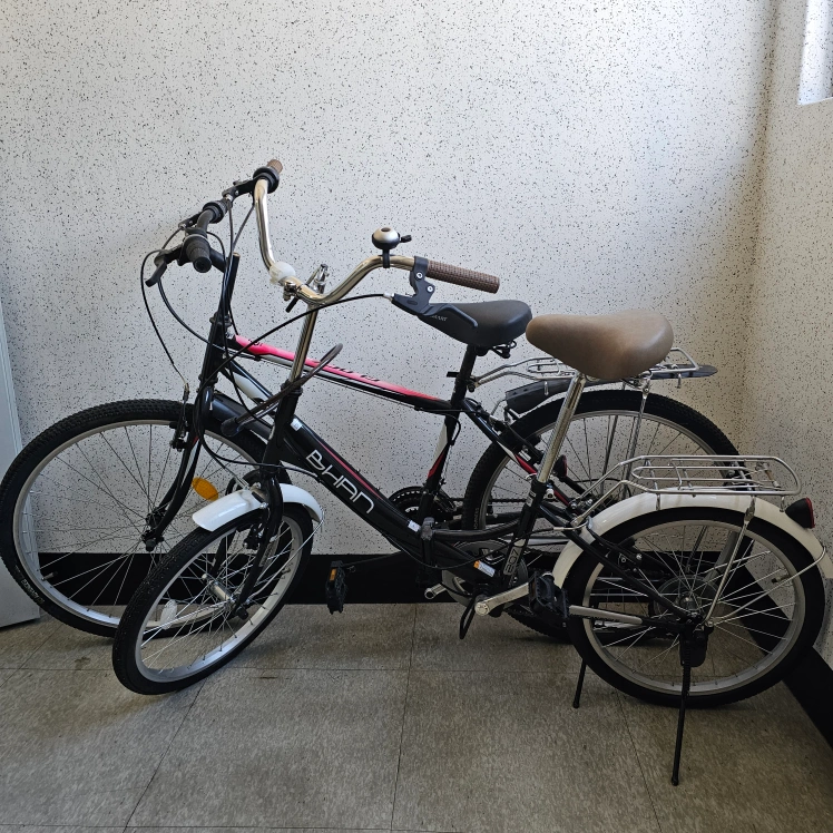 BHAN 접이식 미니벨로 자전거 | 스포츠/레저 | 당근 중고거래