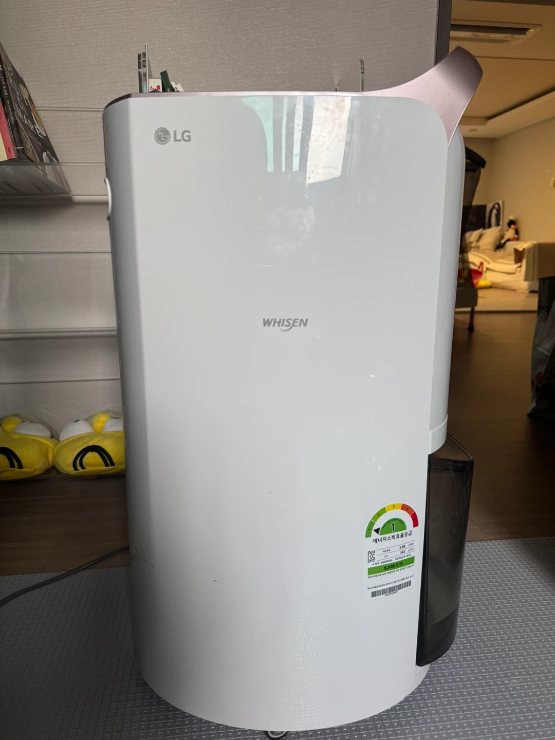 LG Whisen 제습기 20L / | 생활가전 | 당근 중고거래