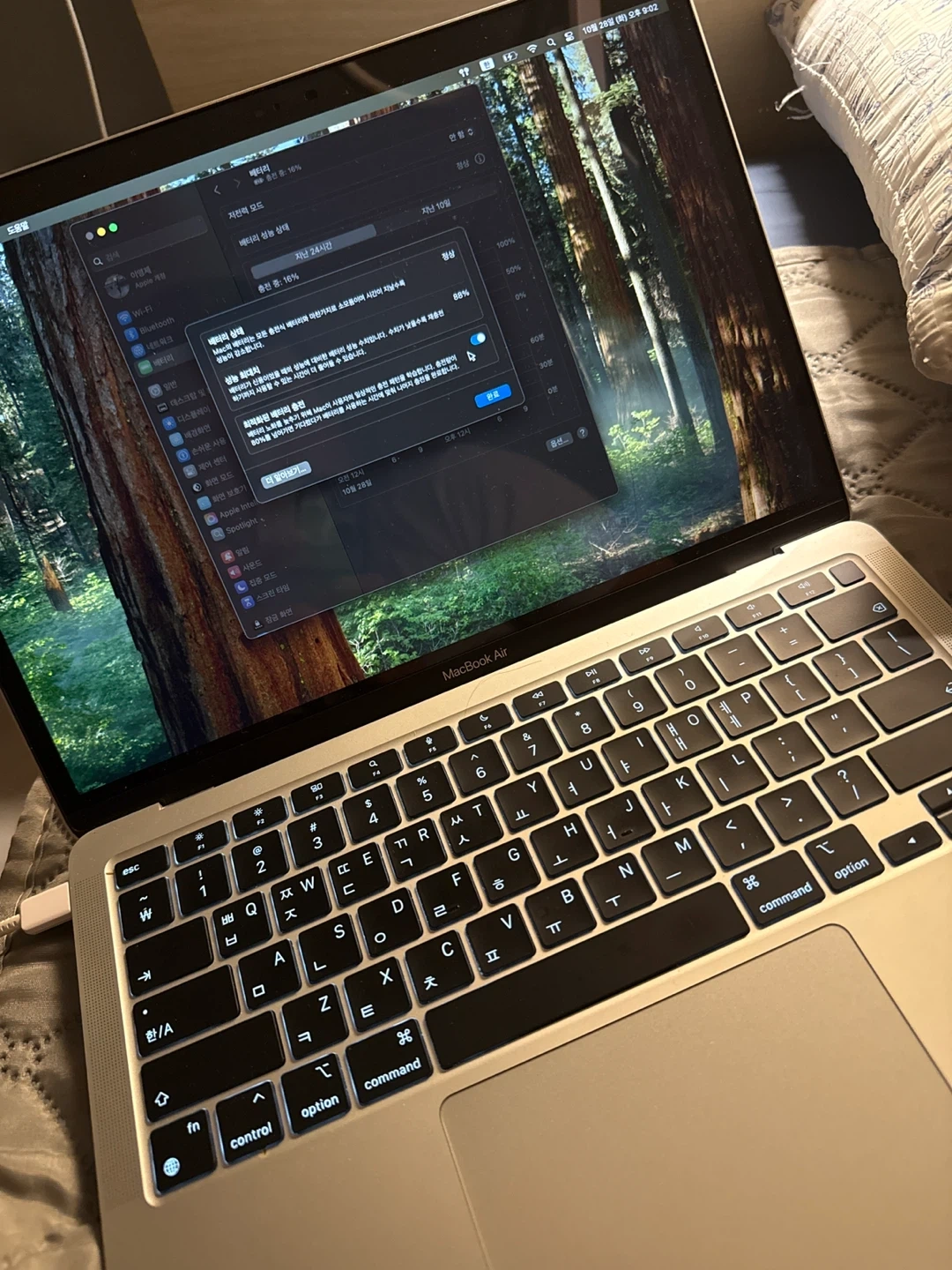 애플 맥북 에어 M1 13인치 | 디지털기기 | 당근 중고거래
