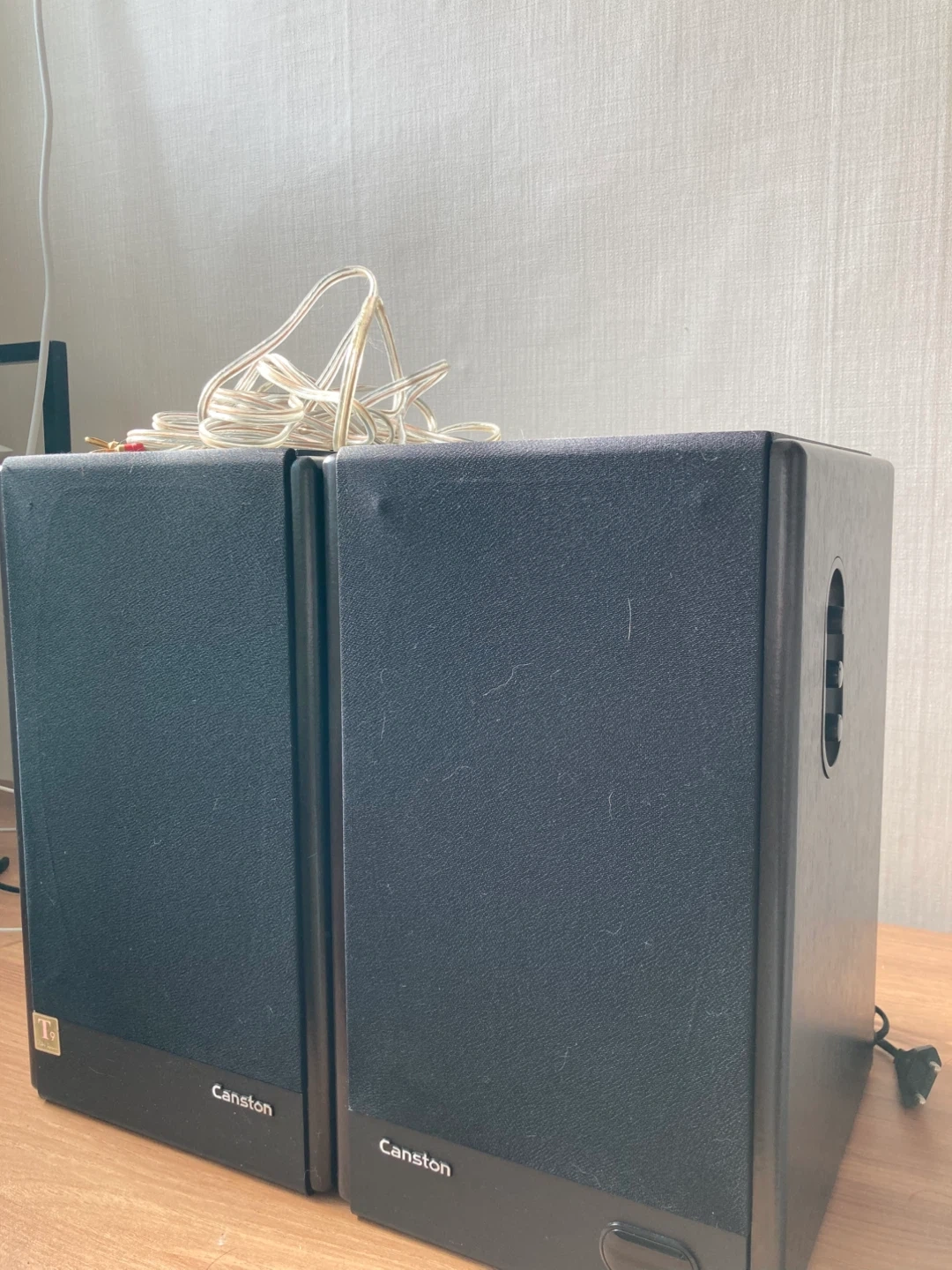 캔스톤 lx6000 스피커입니다 | 디지털기기 | 당근 중고거래